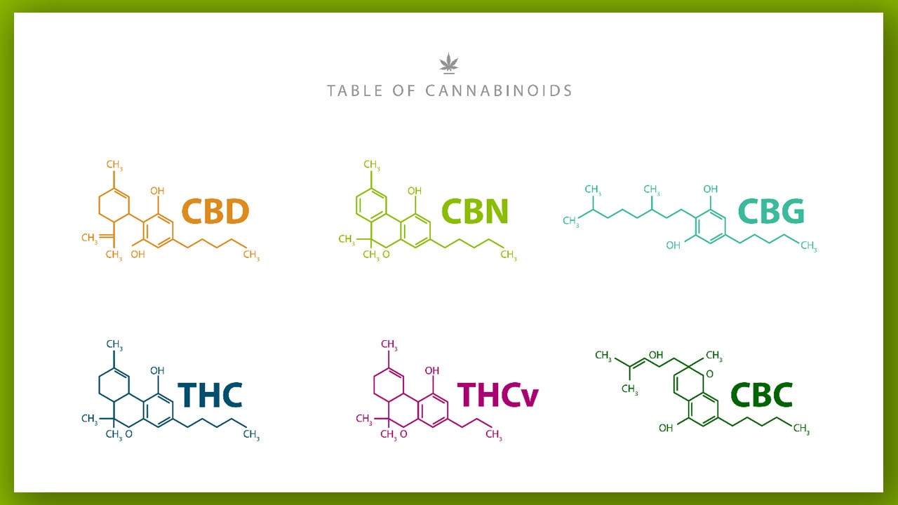 What are Cannabinoids? CBD, THC & Beyond! | Green Bee Life