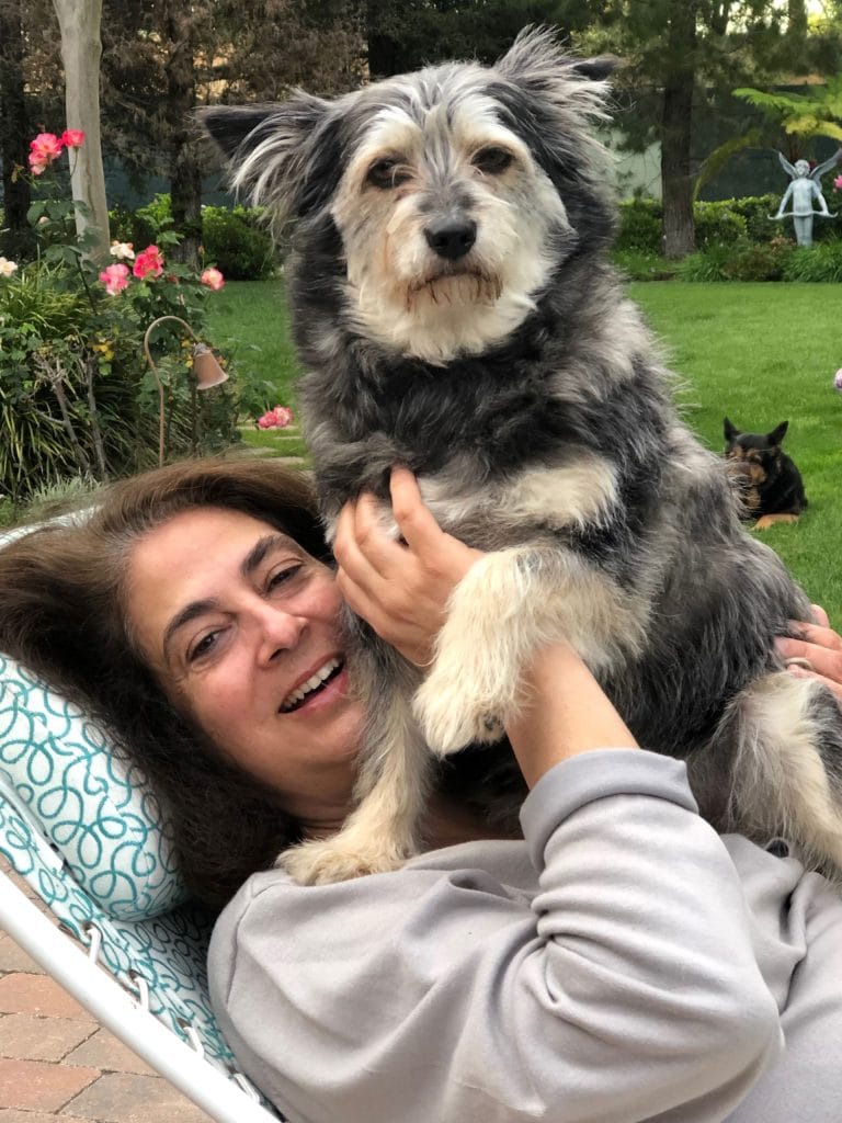 Meet Maria Calabrese, the Green Bee Life Founder, CEO & Queen Bee