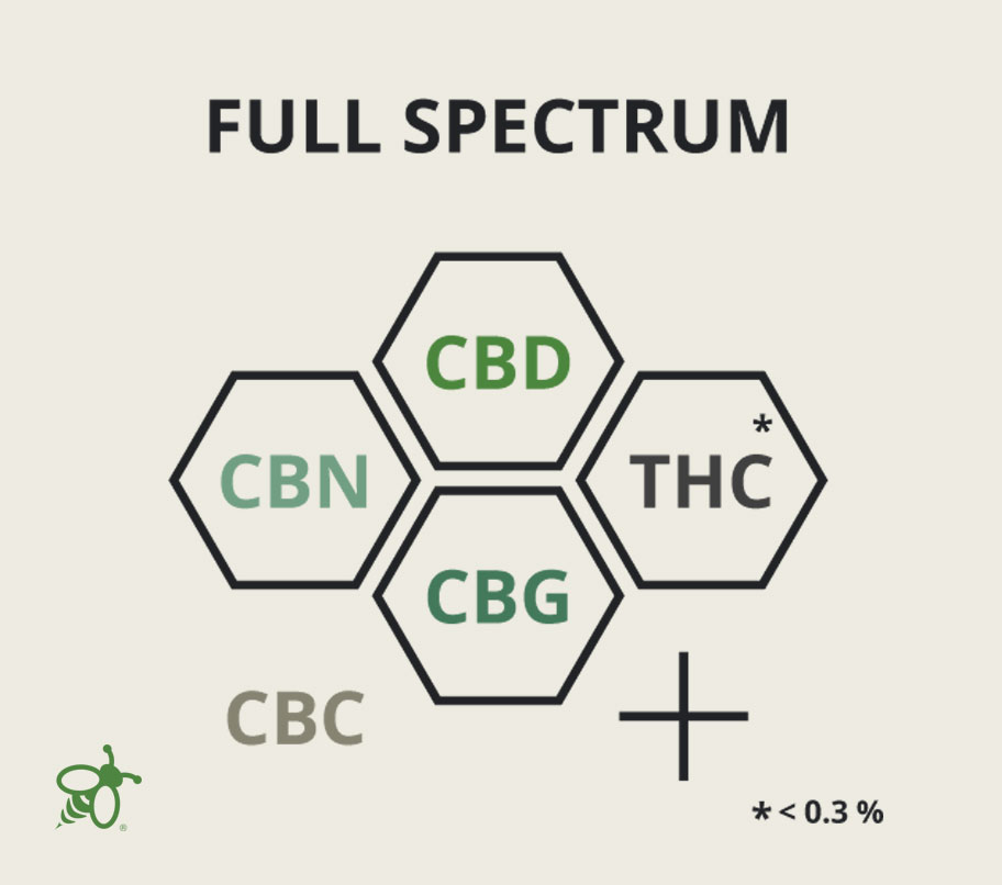 Types of CBD Explained