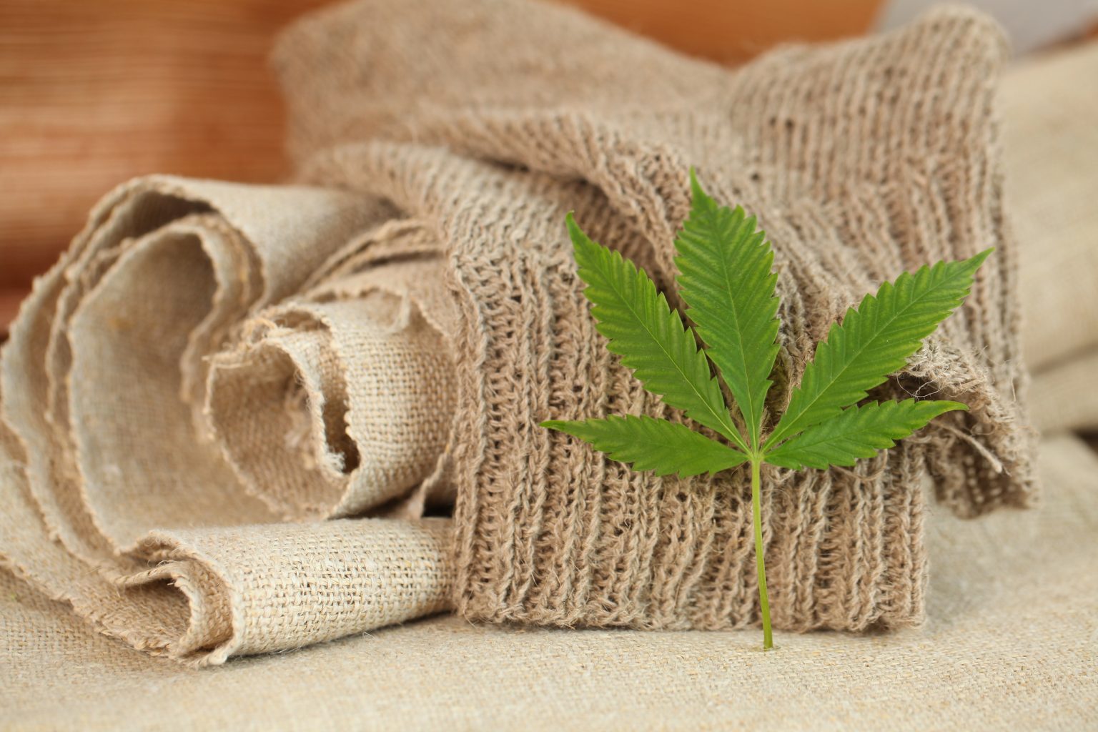 National Hemp Month: What It Is & Why It Matters – Green Bee Life