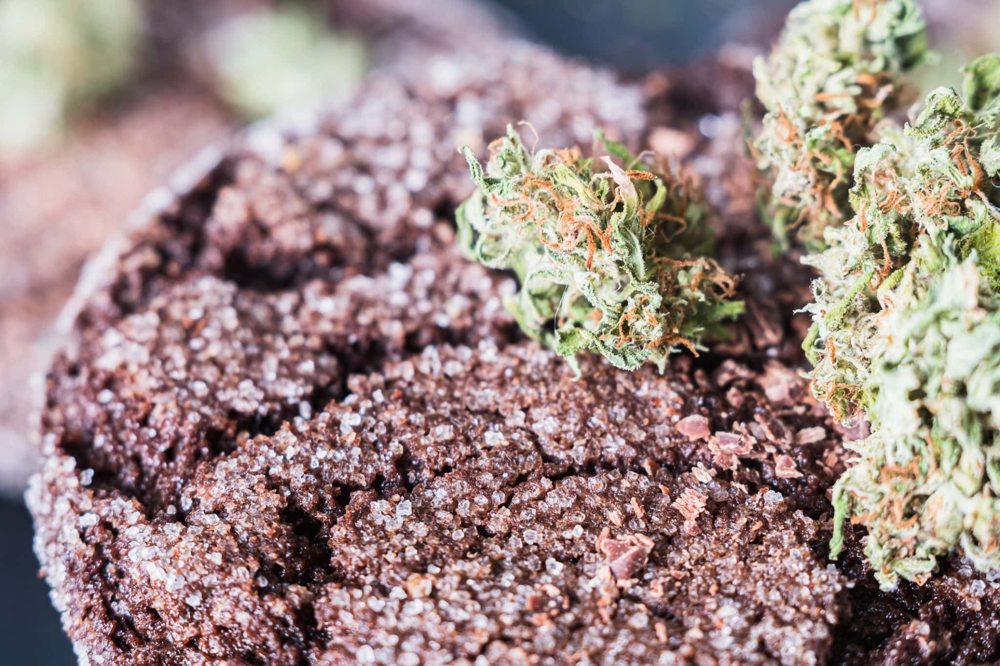 How to Make Edibles at Home | Easy Weed Edible Recipes