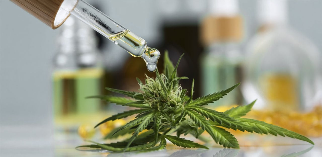 How to Make CBD Oil: The Step-by-Step Process