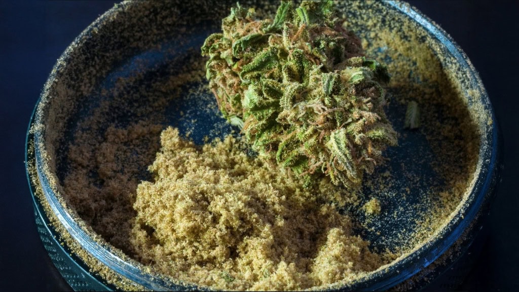 How to Decarb Kief at Home Easily. 3 Basic Methods
